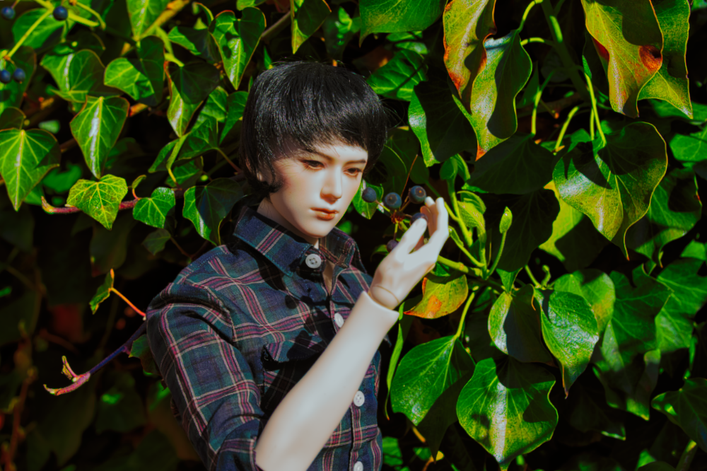 Adeon Zhou · Halcyon Straits